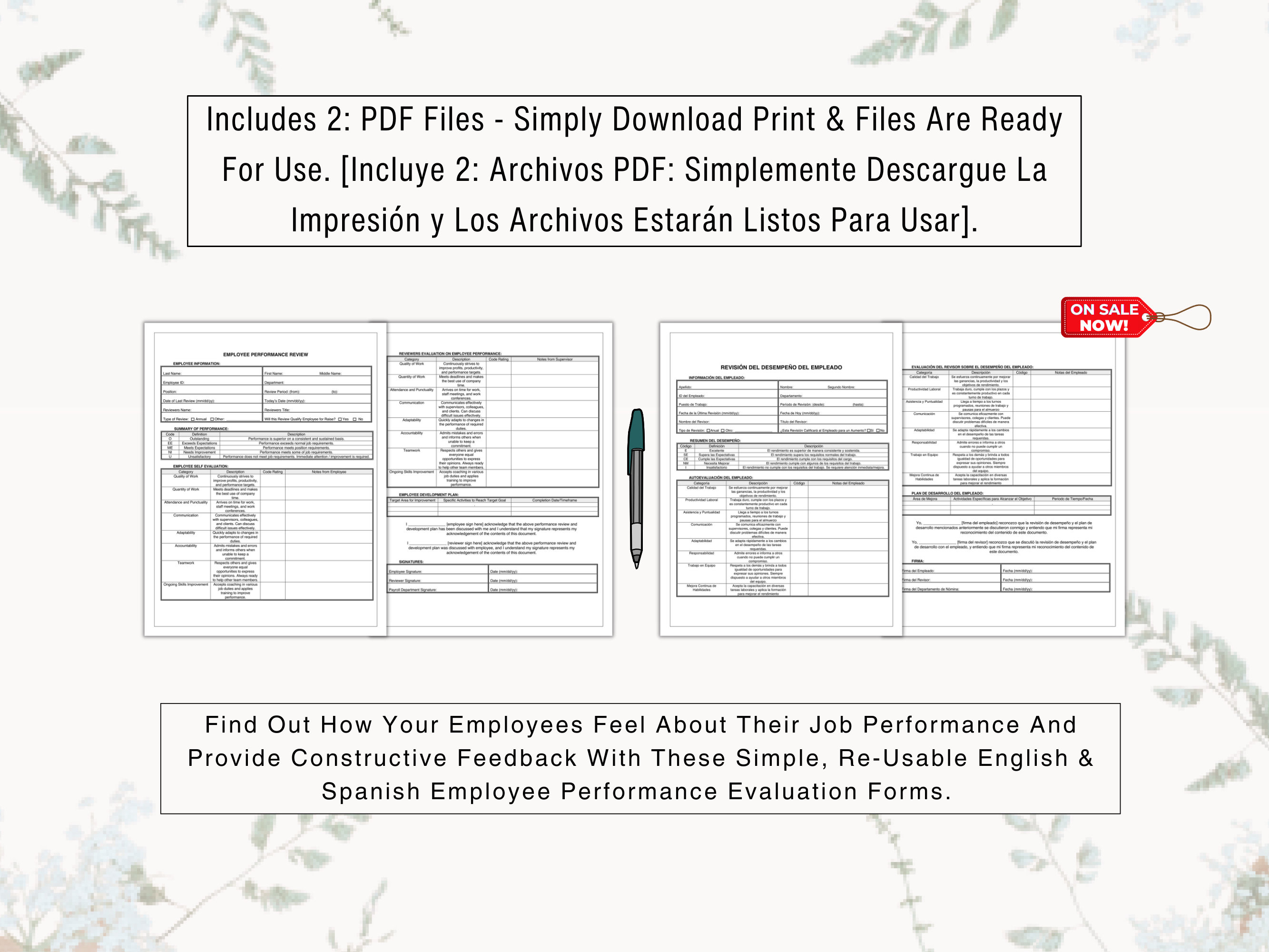 Employee Performance Review in English & Spanish | Plantilla De ...