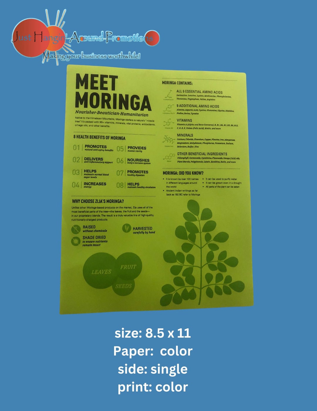 MORINGA FLYER - Etsy