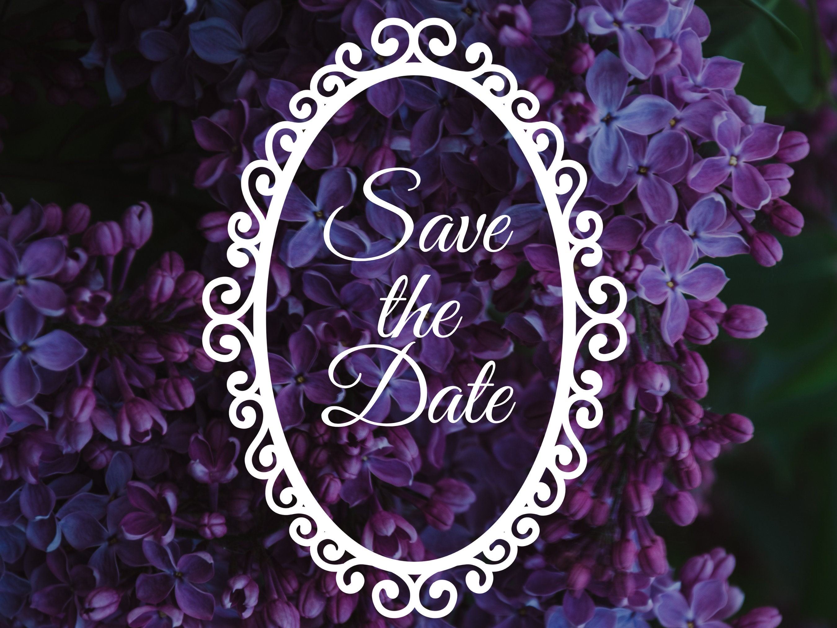 3 Oval Frames Oval Frames Pack Frame SVG Filigree Oval Frame Bundle ...