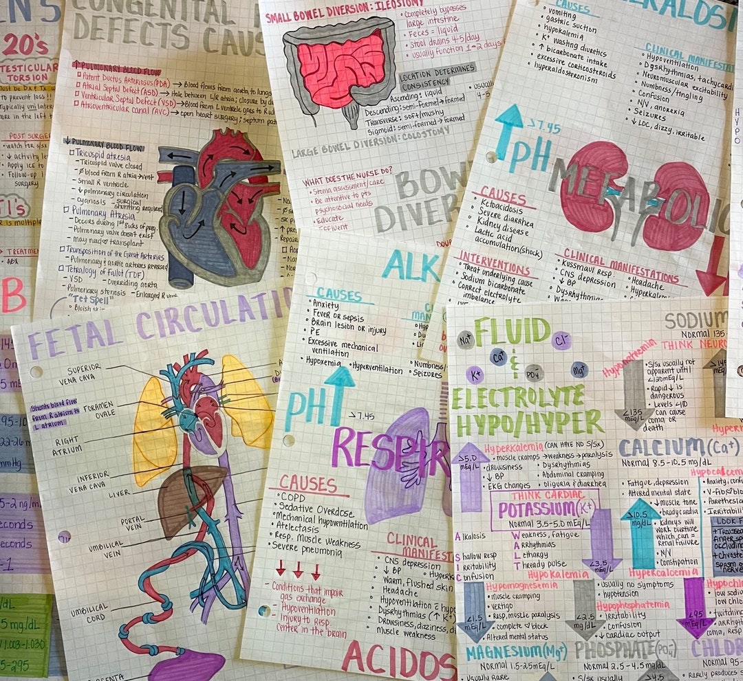 DIGITAL Nursing School Notes | 50 Pages | Fluid & Electrolytes, Adult ...