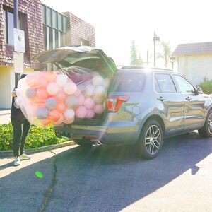 Jumbo Transparent Balloon Storage Bag, Large, 98*60 Inch, Great for ...