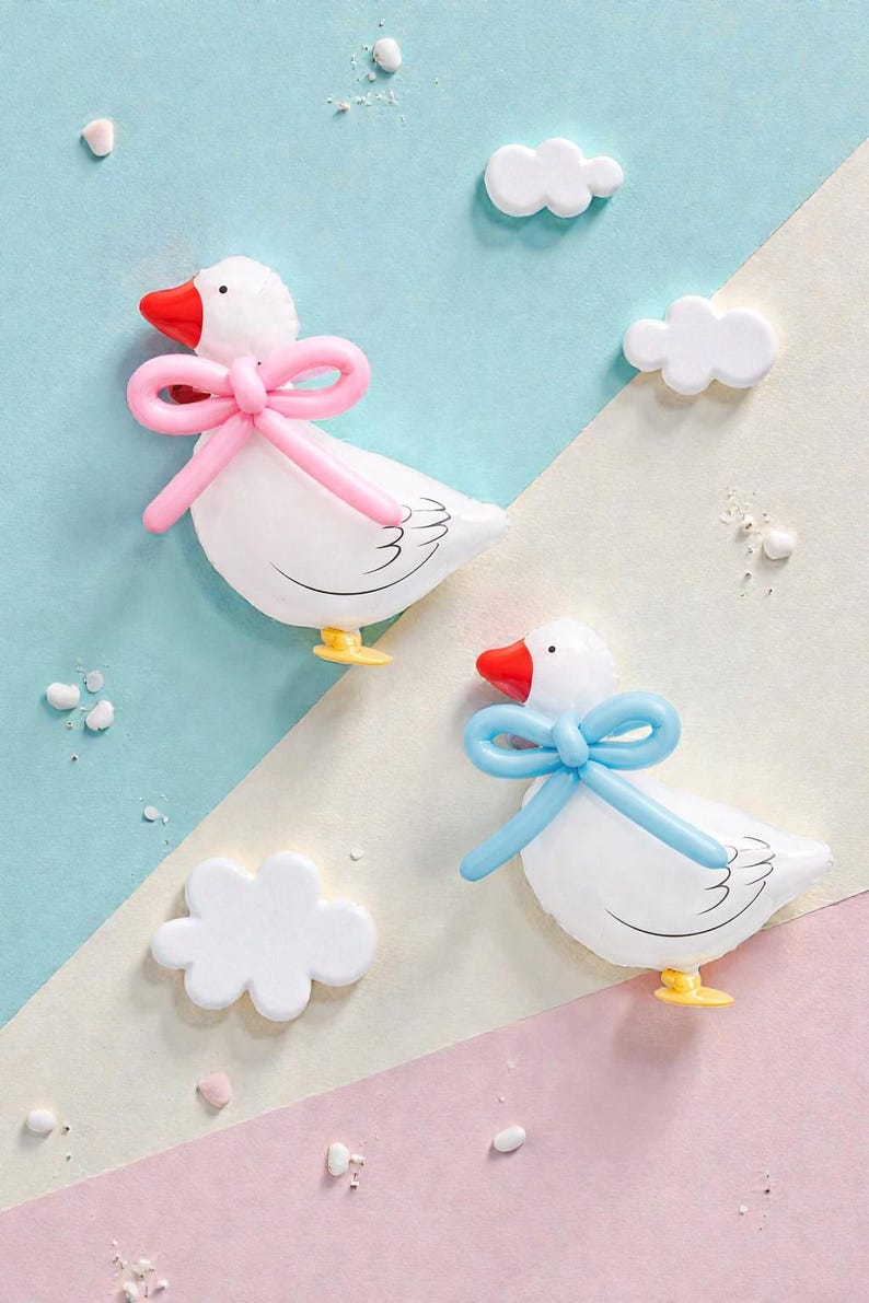 One Silly Goose Walking Balloon: Blue Pink Bow First Birthday Baby ...