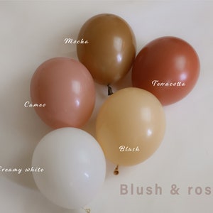 Boho Dusty Rose Cameo Pink Color Balloon Garland | Birthday Baby Shower ...