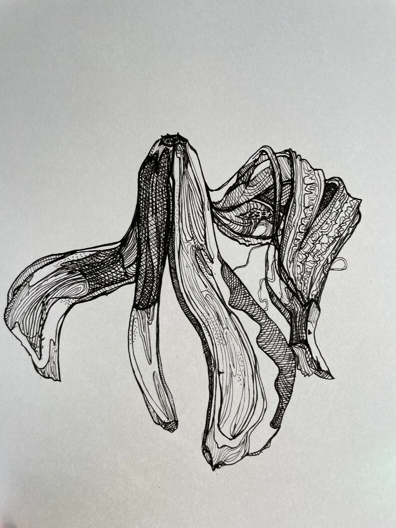 Banana Peel Art Print - Etsy