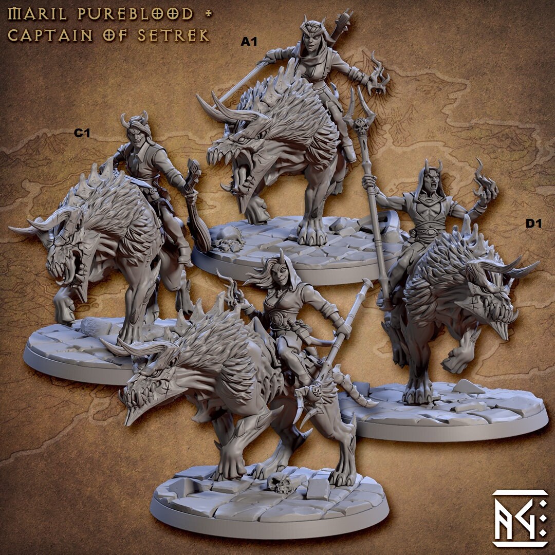 Dnd Tiefling Beast Rider Miniatures Demonhound Riders DND Dungeons and ...