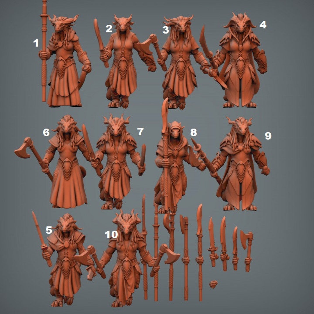 Dnd Dragonborn Warrior Miniatures | D&D | Dungeons and Dragons ...