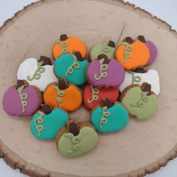 Hello Fall Treat Box, Carmel Apples, Pumpkins, Autumn Dog Treats, Fall ...