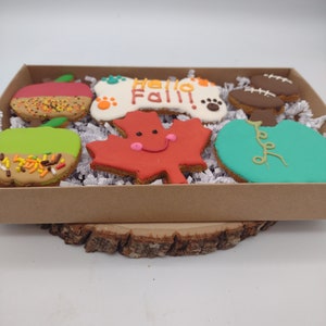 Hello Fall Treat Box, Carmel Apples, Pumpkins, Autumn Dog Treats, Fall ...