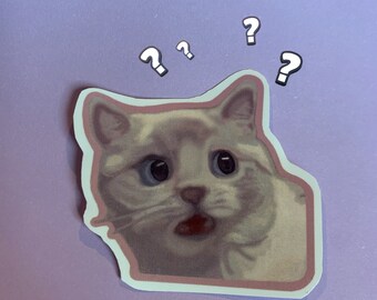 Confused Cat Sticker - Etsy