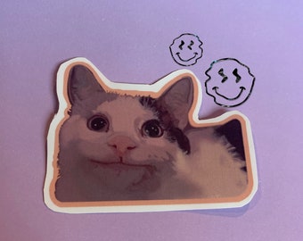 Cat Smirking Meme - Etsy