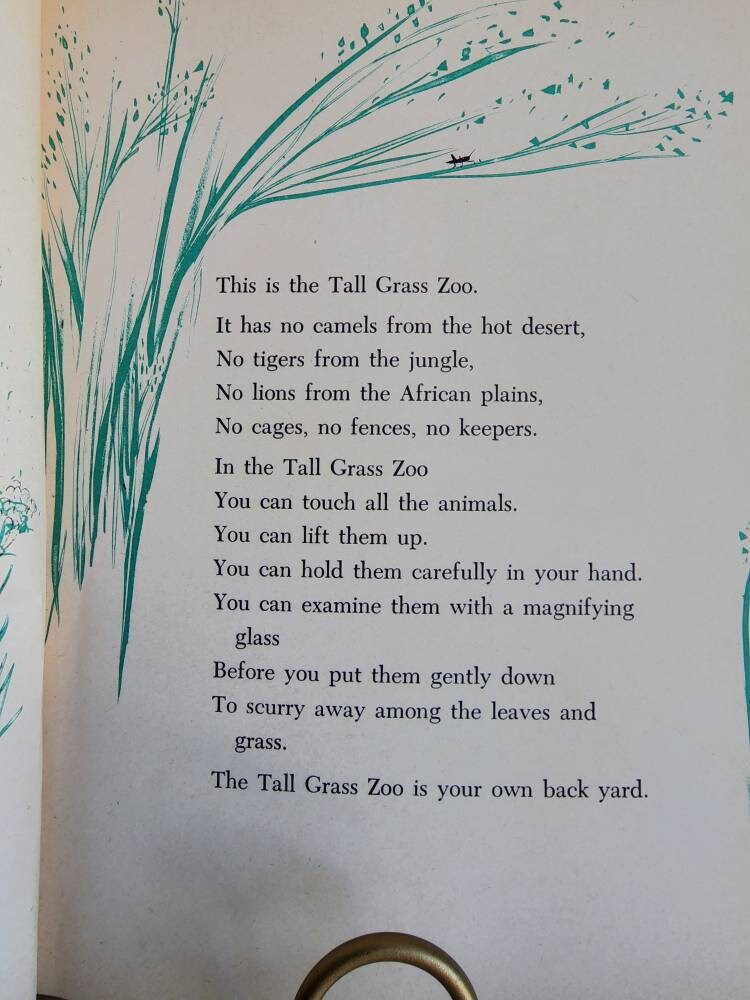 Vintage Nature Illustrated Children's Book, Tall Grass Zoo Book ...