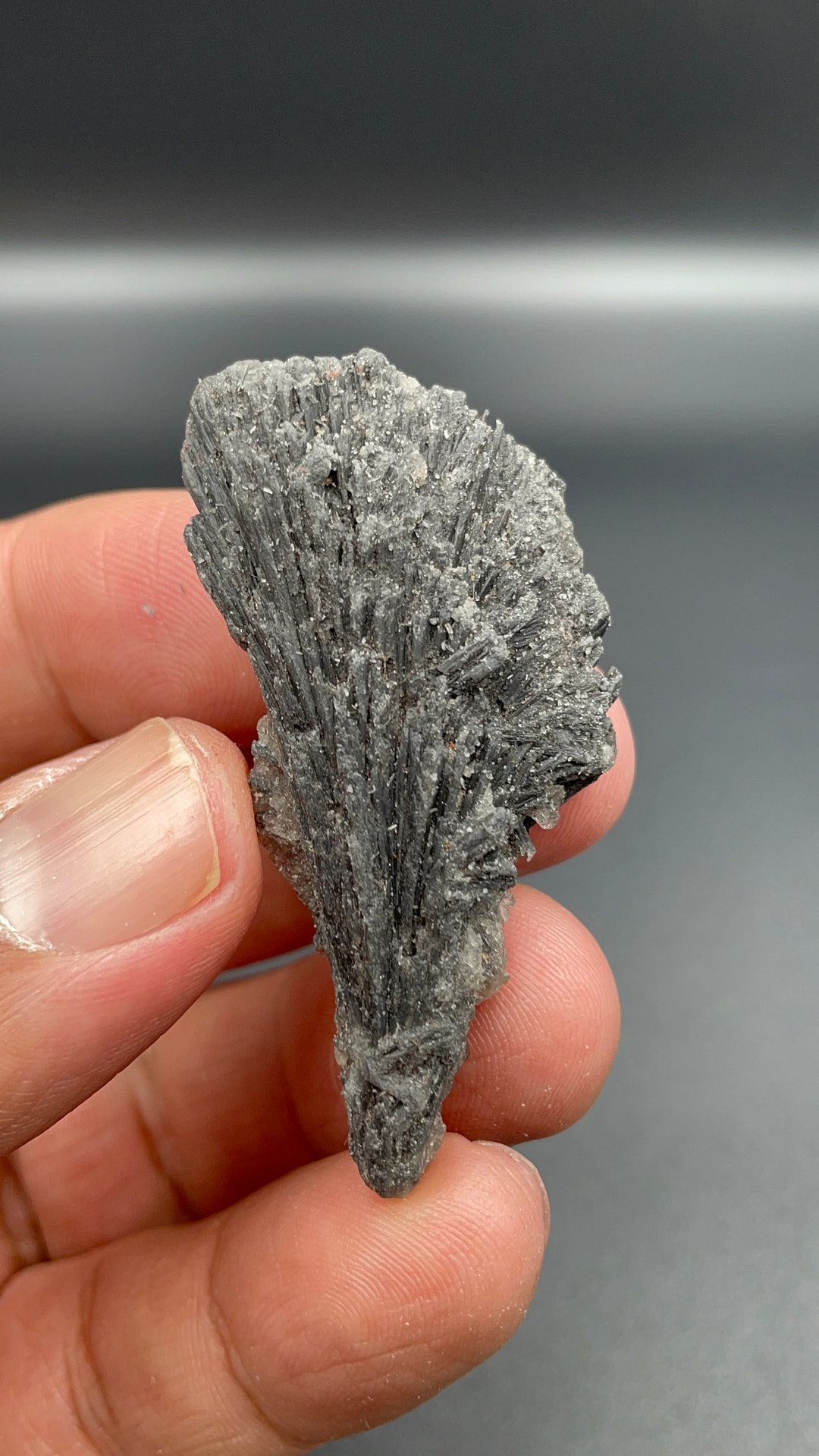 Black Kyanite Aka Witches Broom From Brazil - Etsy