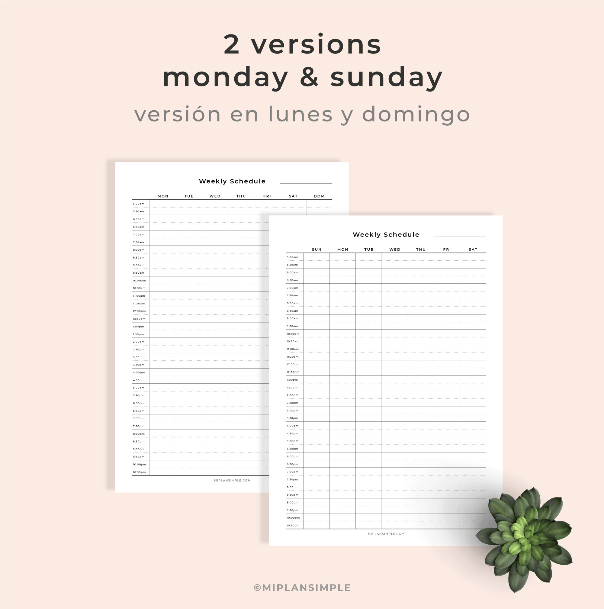 Half Hour Weekly Schedule Printable, Half-hour Schedule PDF A4 & Letter ...