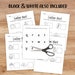 Beginning Sounds Worksheets Cut and Paste Phonics Alphabet Letter ...