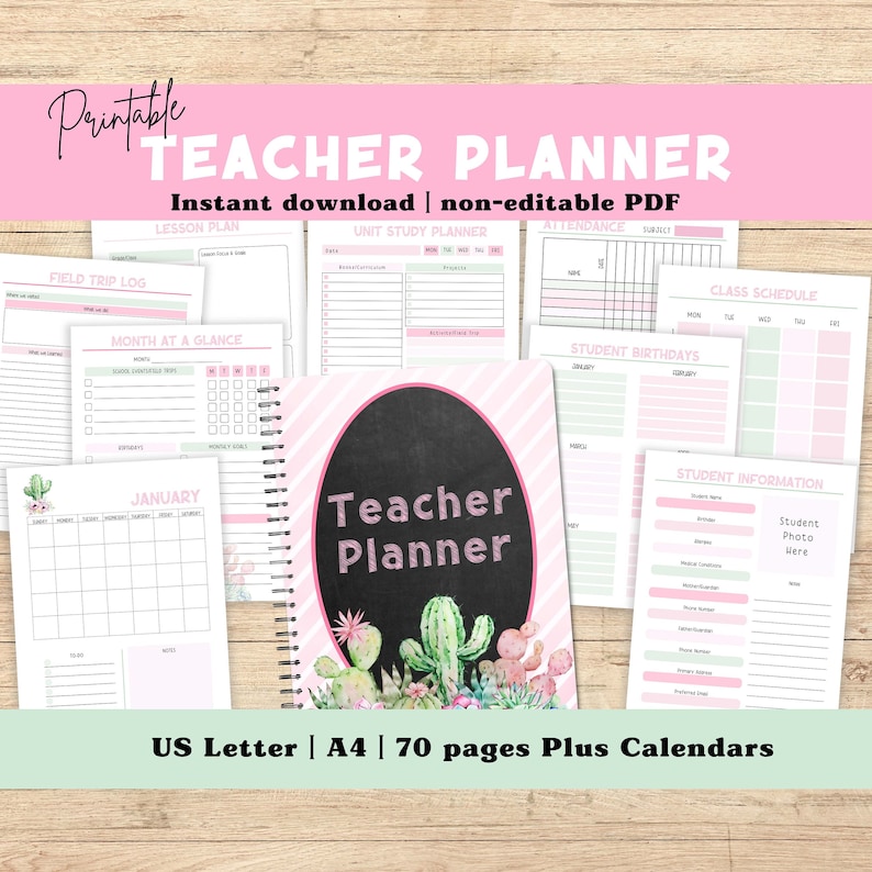 Pink Cactus Teacher Planner Printable - Teaching Binder With Lesson ...