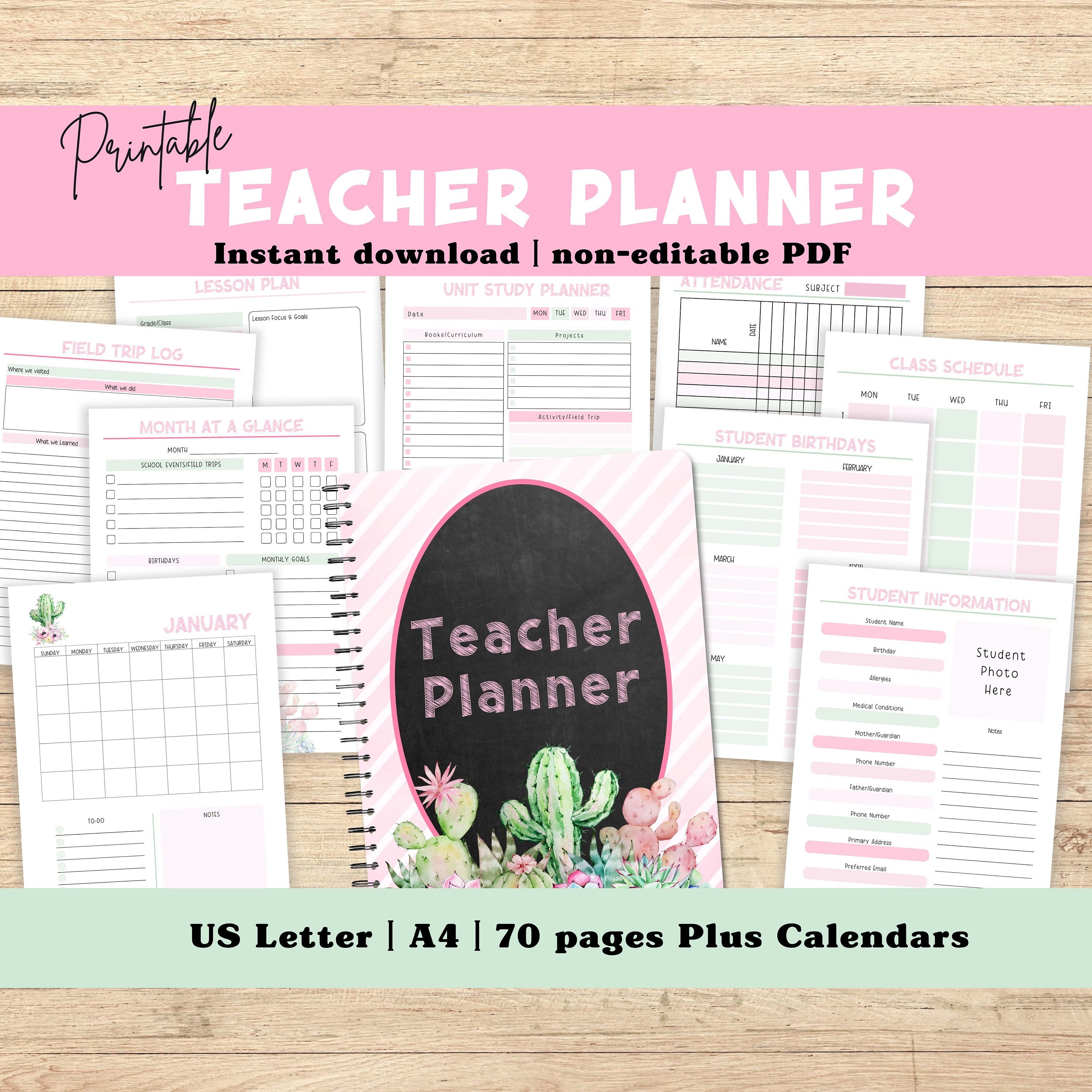 Pink Cactus Teacher Planner Printable - Teaching Binder With Lesson ...
