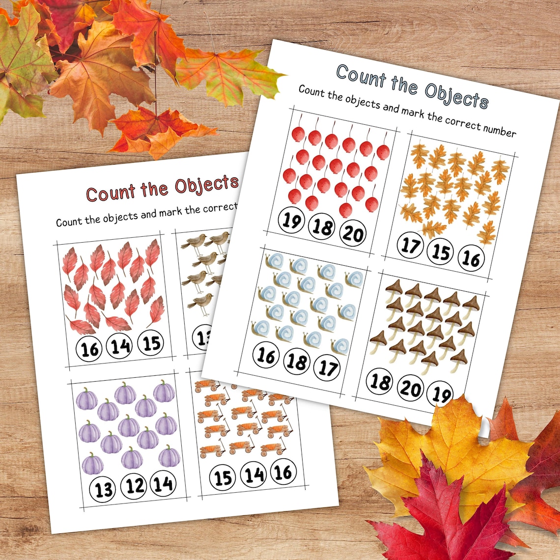 Number Worksheets for Preschool Pre-k Math Counting & Recognition Fall ...