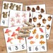 Preschool Math Activity - Counting and Number Recognition Clip Cards ...