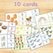 Spring Count and Clip Cards - Numbers 1 to 10 - Printable Preschool ...