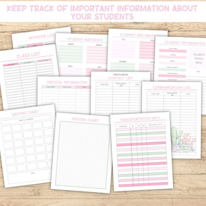 Pink Cactus Teacher Planner Printable - Teaching Binder With Lesson ...
