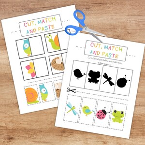 Preschool Cut and Paste Worksheets - Scissor Skills Activity Page ...