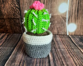 Barrel Cactus Crochet Pattern - Etsy