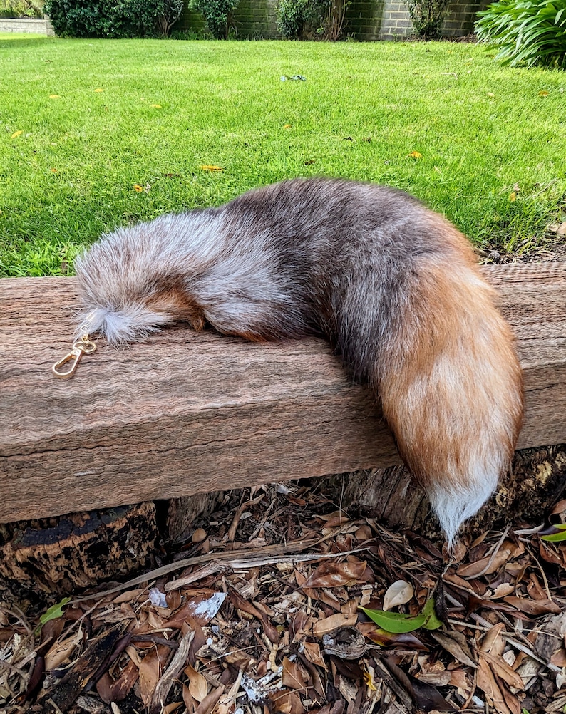 XL Smokey Red Fox Tail (XL and Regular Size), Real Fox Tail, Tails for ...