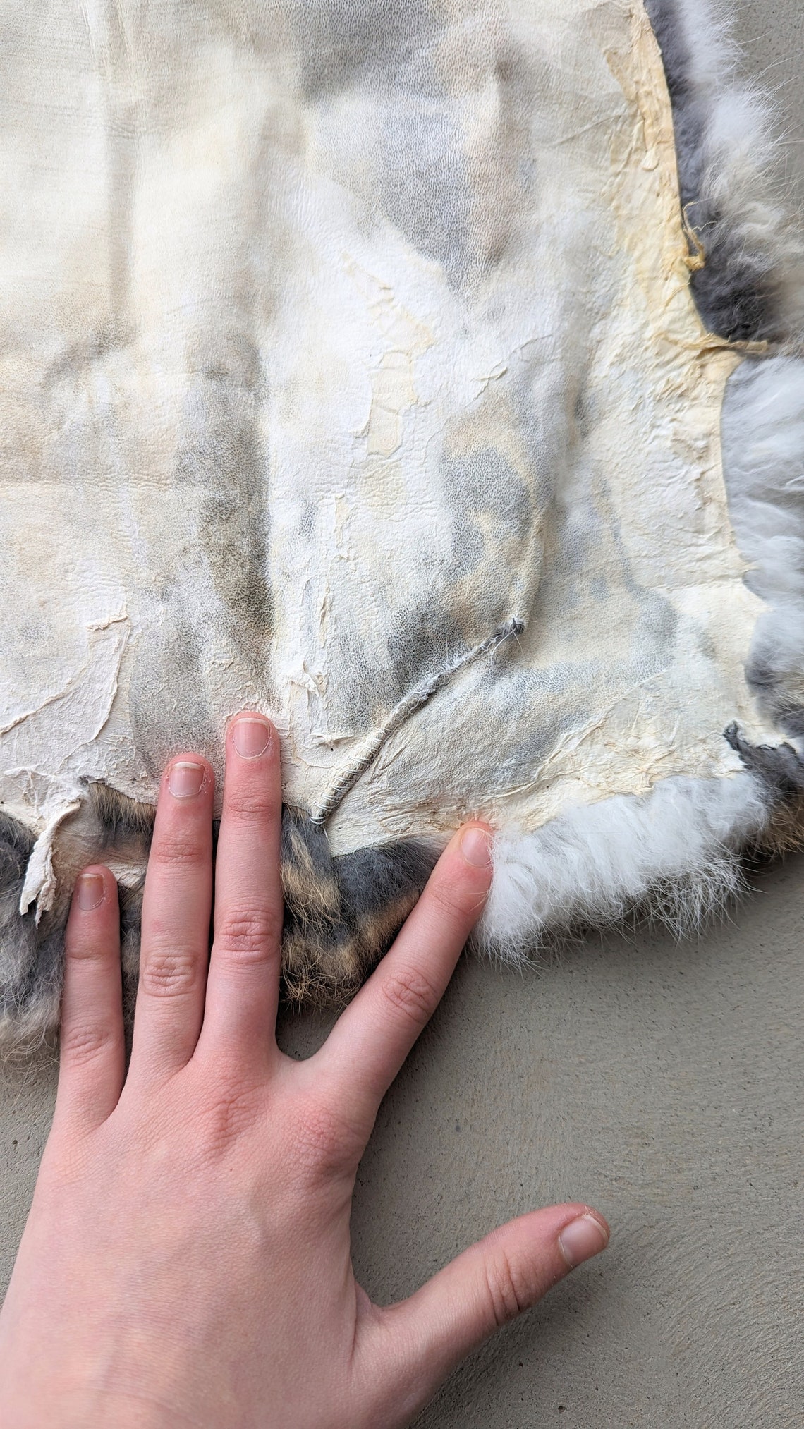 B Grade Rabbit Pelt - Etsy