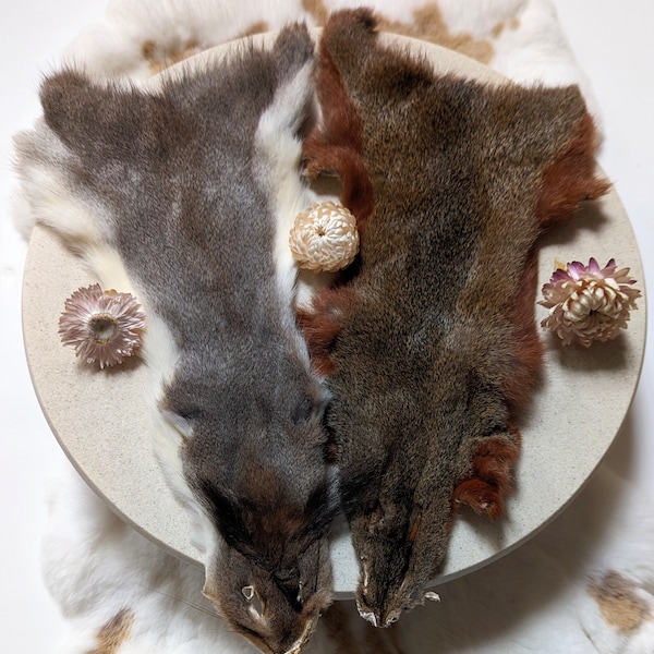 Squirrel Feet - Etsy