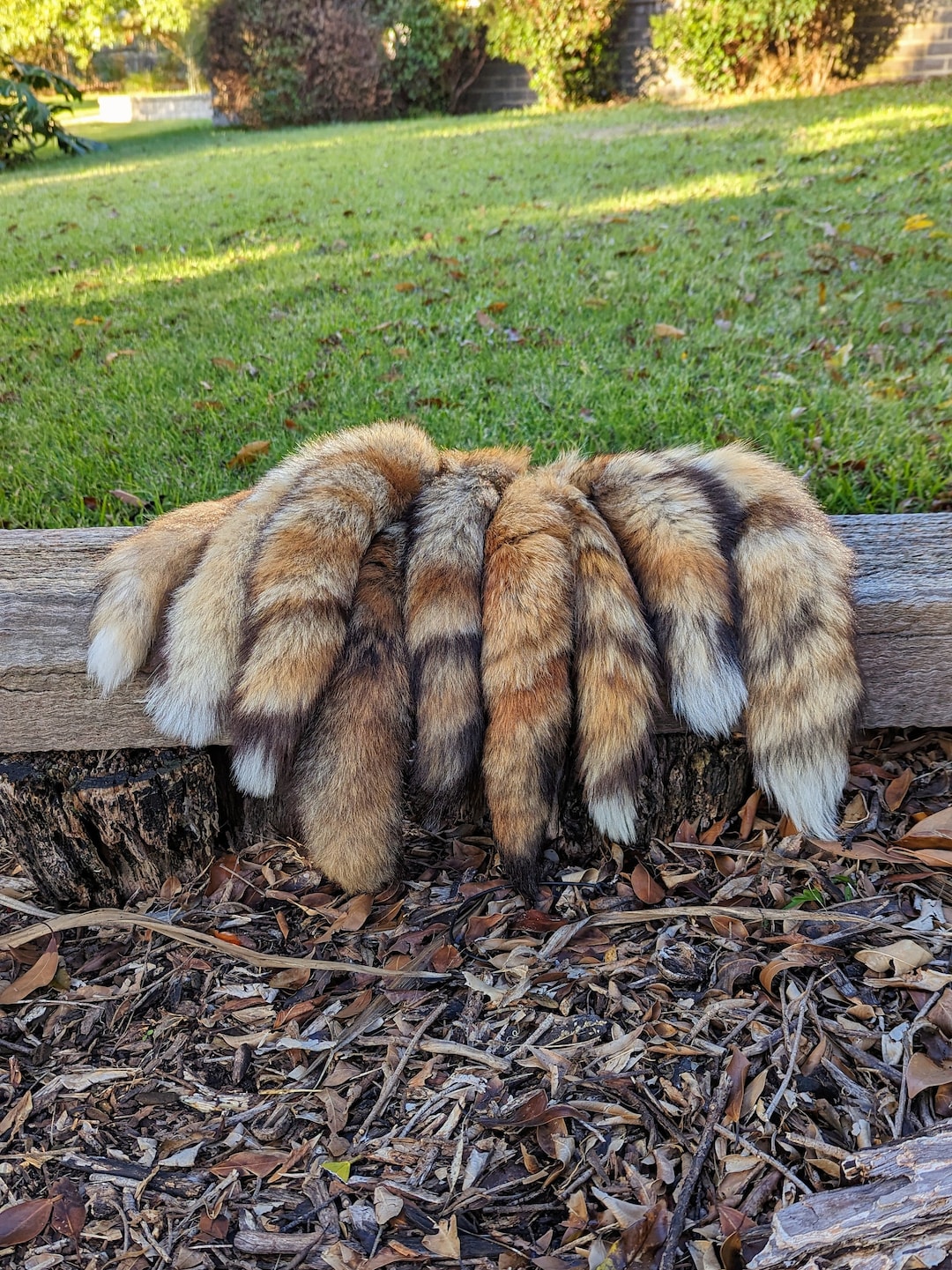 B Grade Fox Tail Keychains, Tails for Therians, Taxidermy Tails - Etsy