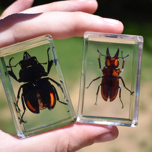 Resin - Etsy Australia