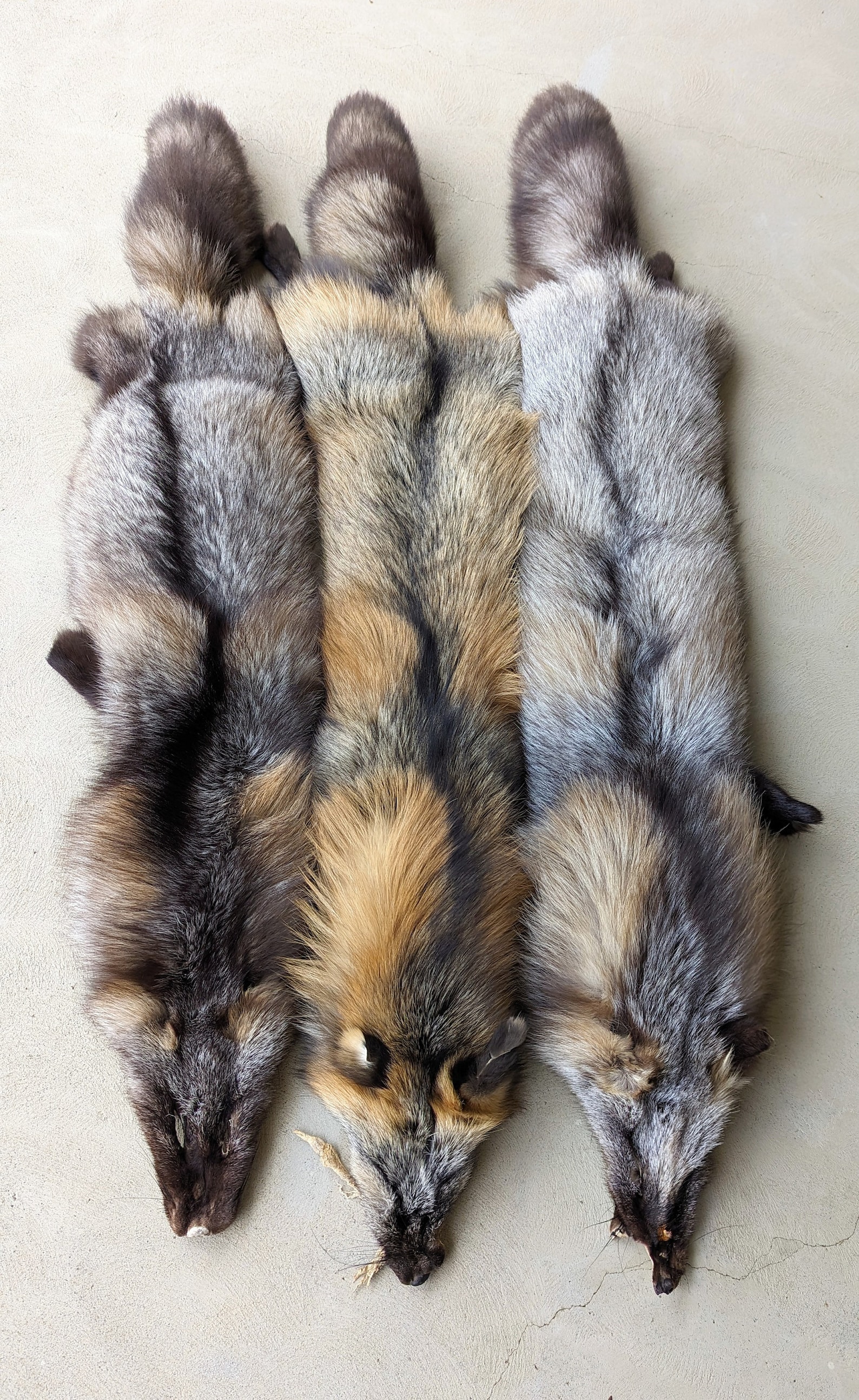 Golden Cross Fox Pelt - Etsy