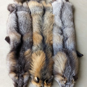 Golden Cross Fox Pelt - Etsy