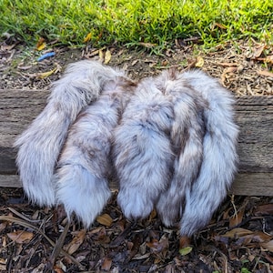 B Grade Fox Tail Keychains, Tails for Therians, Taxidermy Tails - Etsy