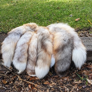 B Grade Fox Tail Keychains, Tails for Therians, Taxidermy Tails - Etsy