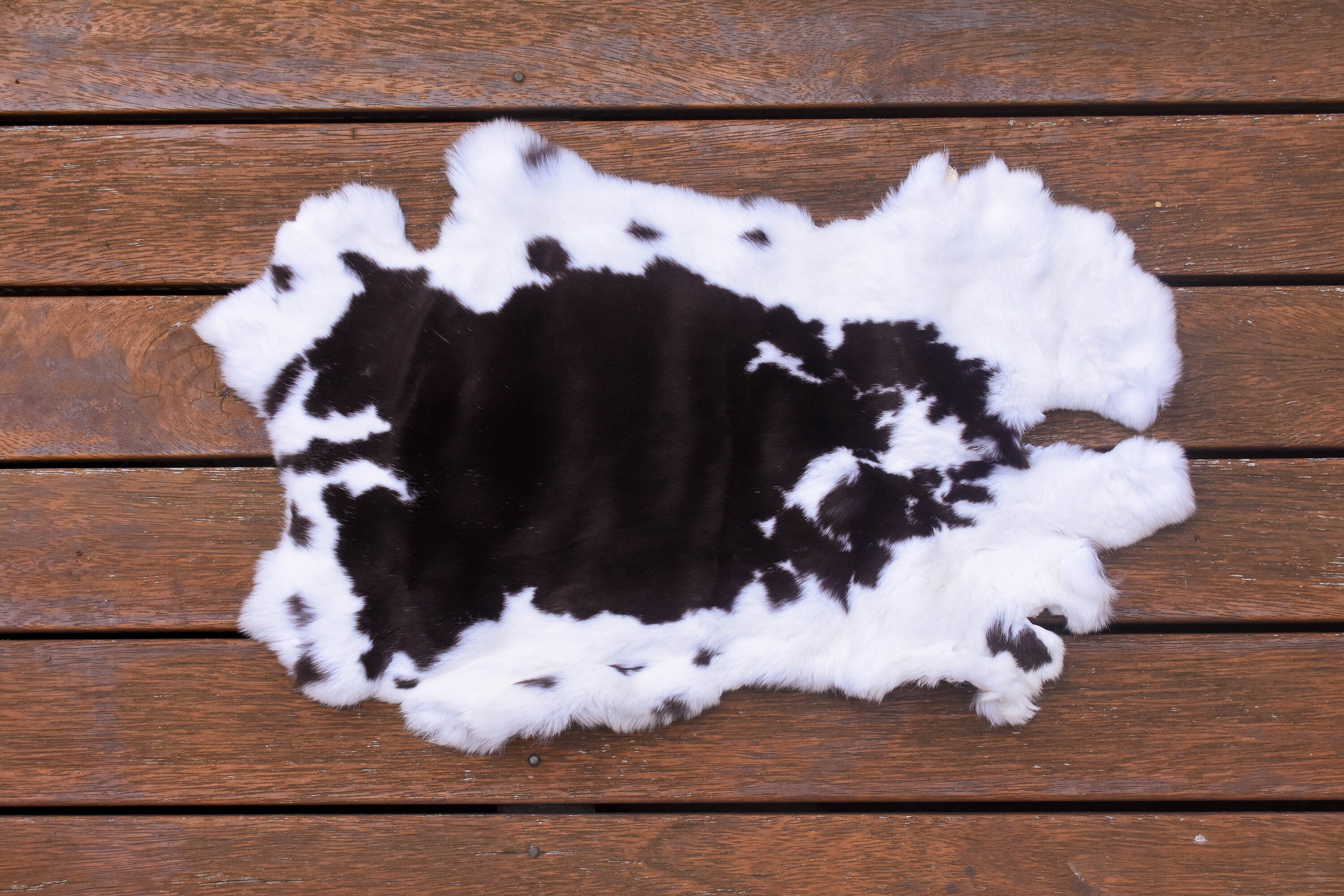 Rex Rabbit Pelt - Etsy