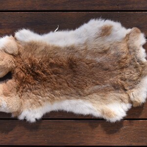 Rabbit Pelt - Multiple Colours and Patterns, Fluffy Winter Pelts ...