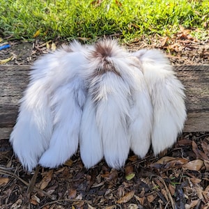 B Grade Fox Tail Keychains, Tails for Therians, Taxidermy Tails - Etsy