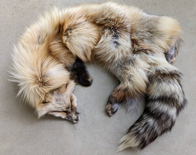 Golden Cross Fox Pelt - Etsy