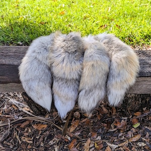 B Grade Fox Tail Keychains, Tails for Therians, Taxidermy Tails - Etsy