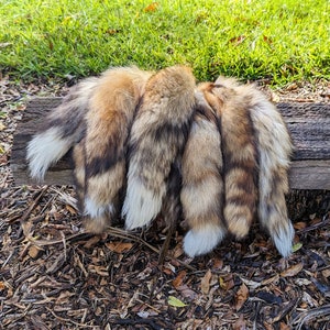 B Grade Fox Tail Keychains, Tails for Therians, Taxidermy Tails - Etsy