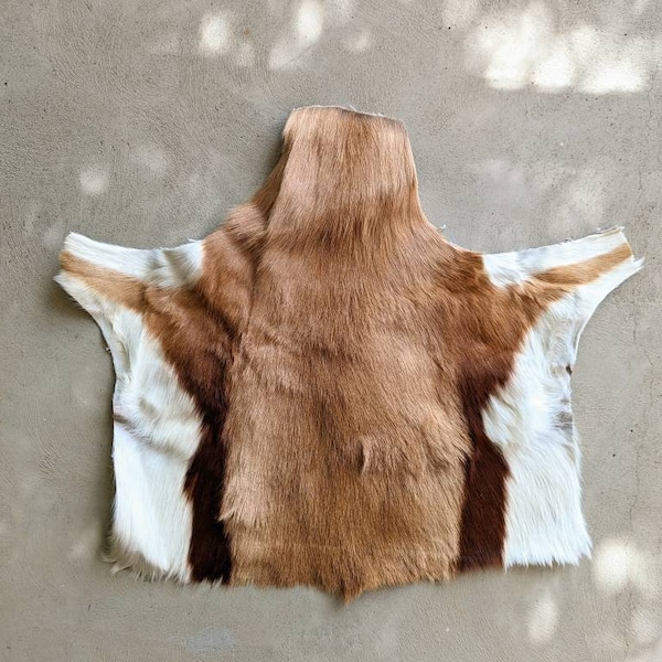 Springbok Hide - Etsy
