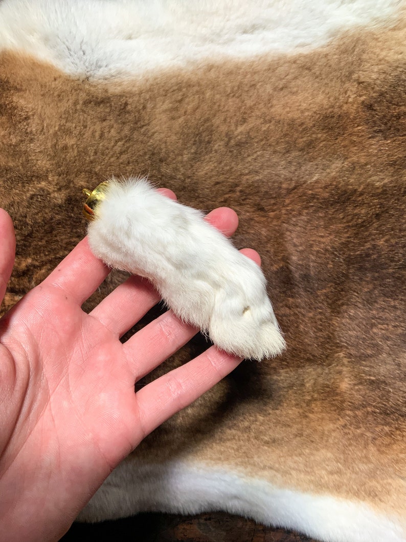 Lucky Rabbit Foot - Etsy