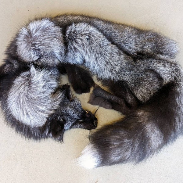 Silver Fox Pelt - Etsy