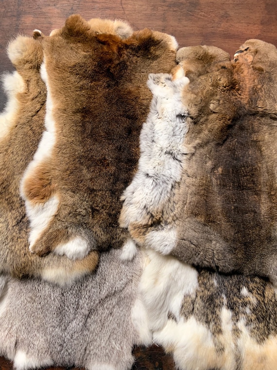 B Grade Rabbit Pelt - Etsy