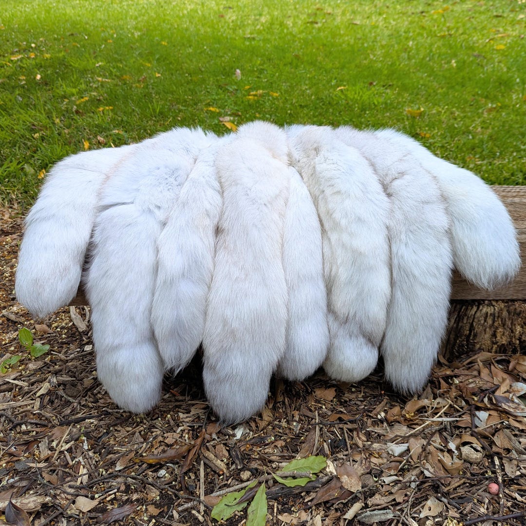 XL Arctic Fox Tail Keychain (blue Morph) - Etsy