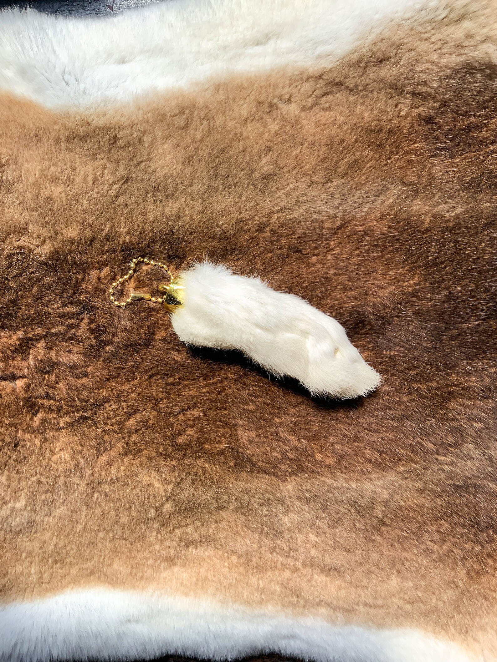 Lucky Rabbit Foot - Etsy