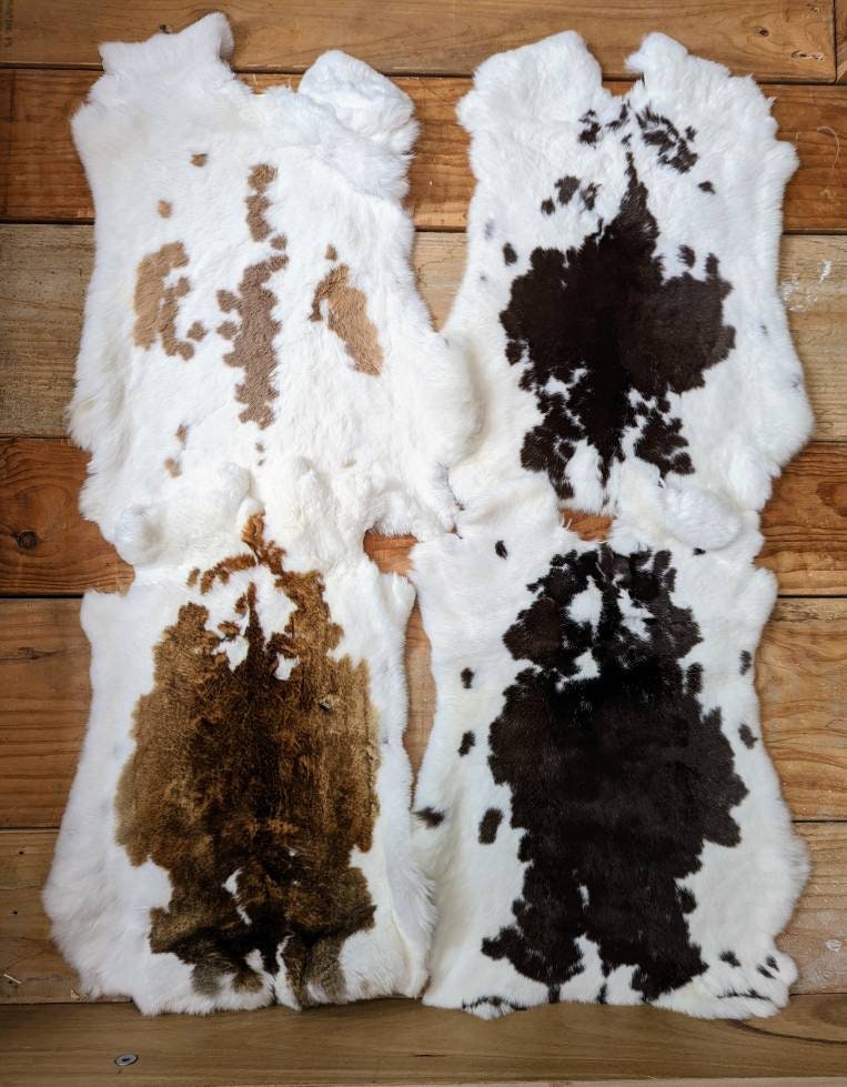 Rex Rabbit Pelt - Etsy