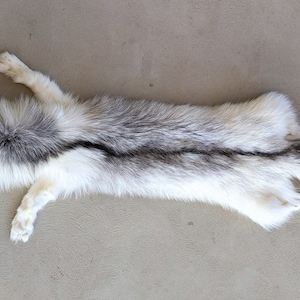 Arctic Marble Fox Pelt - Etsy