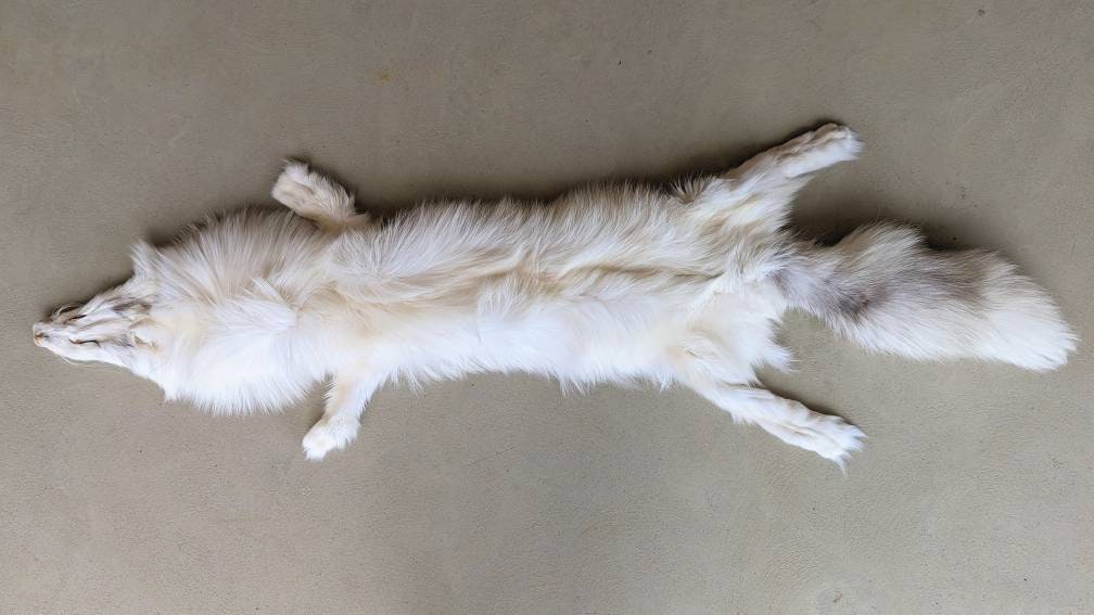 Arctic Marble Fox Pelt - Etsy Australia